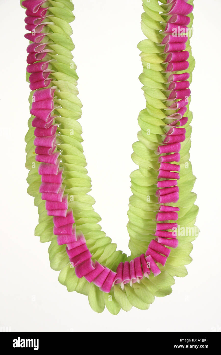Flower lei against white studio background Stock Photo - Alamy