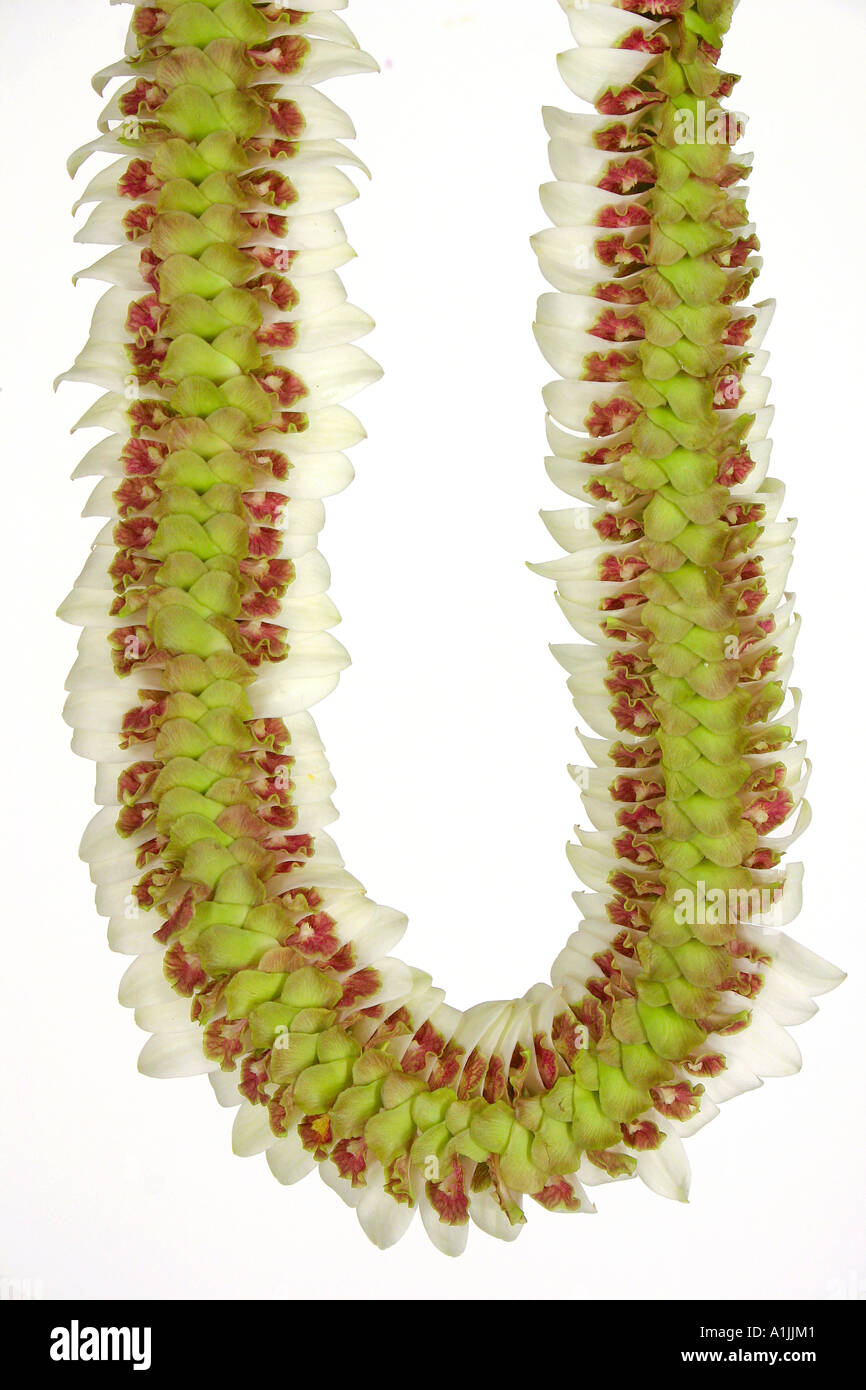 Flower lei against white studio background Stock Photo - Alamy
