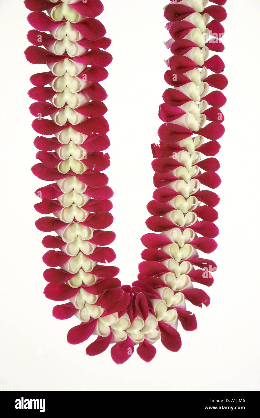 Flower lei against white studio background Stock Photo - Alamy