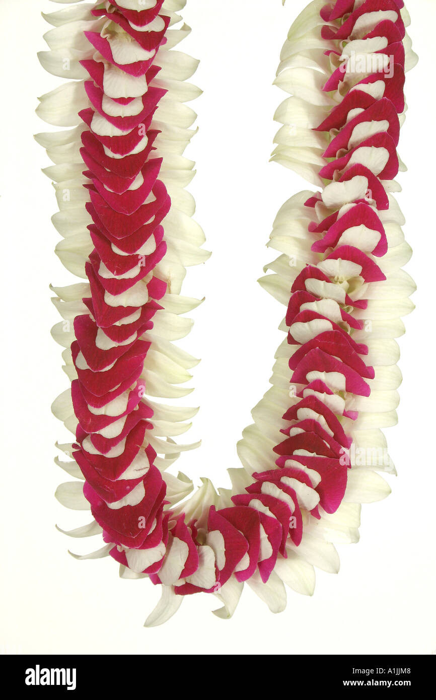 Flower lei against white studio background Stock Photo - Alamy