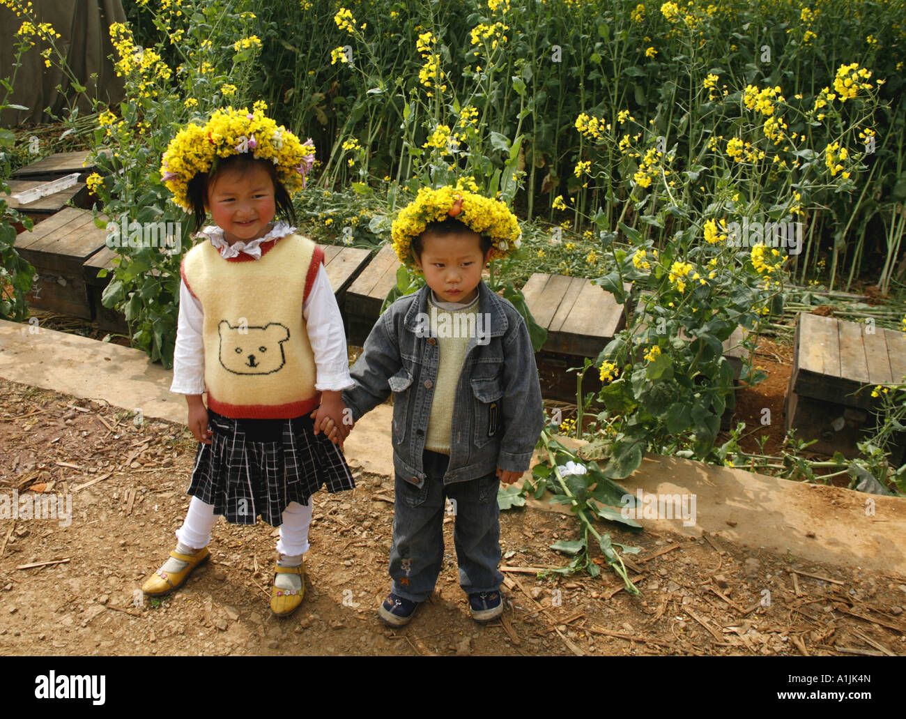 Chinese brother and sister Stock Photo - Alamy