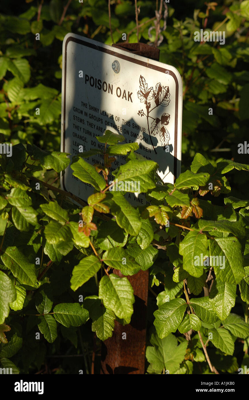 Poison Oak Warning Stock Photo - Alamy
