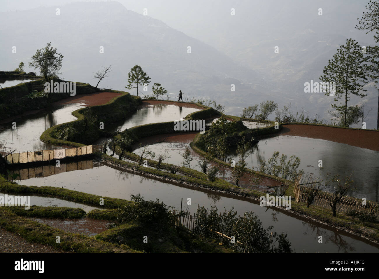 Yuangyang rice terraces,China Stock Photo - Alamy