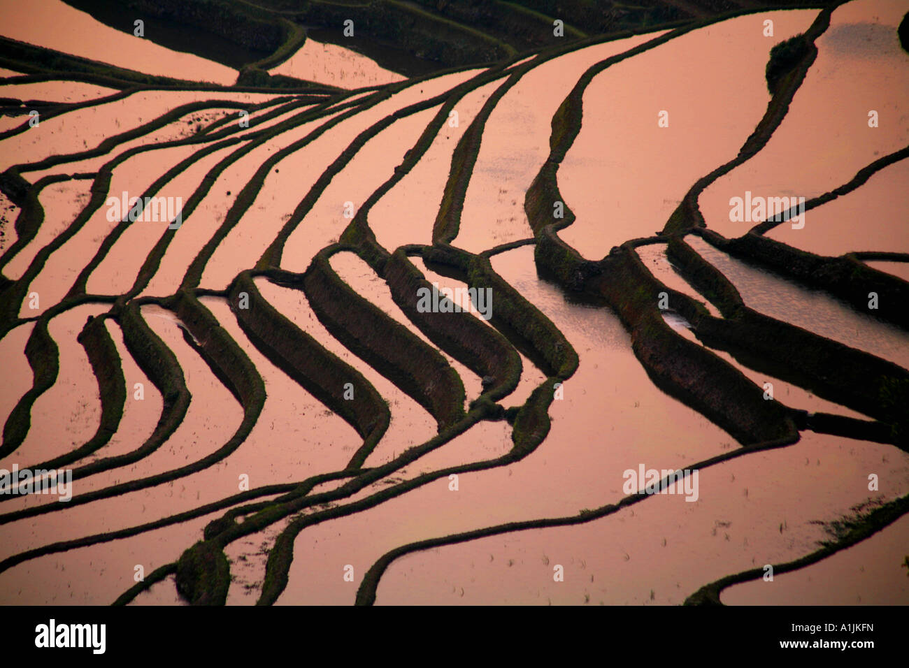 Yuangyang rice terraces,China Stock Photo - Alamy