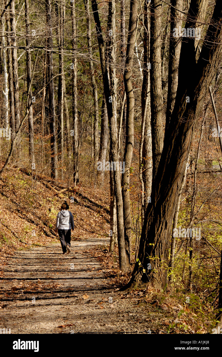 autumn walk in the park after leaves have fallen Stock Photo - Alamy