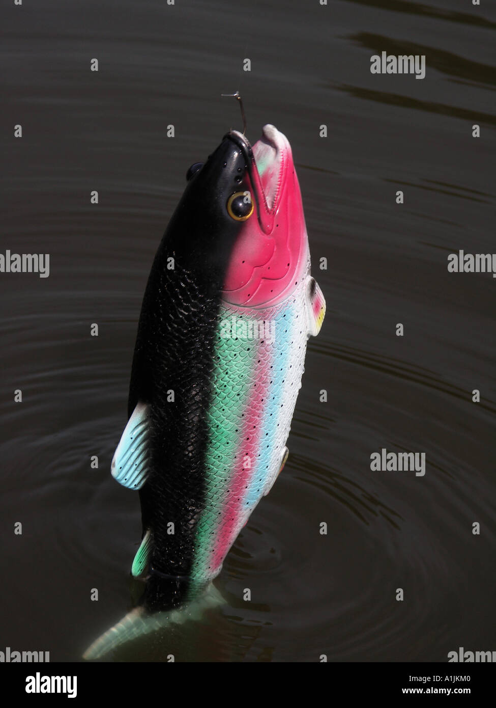 Fishy supper hi-res stock photography and images - Alamy