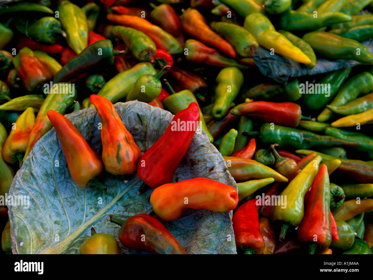 Mercado de chiles oaxaca hi-res stock photography and images - Alamy