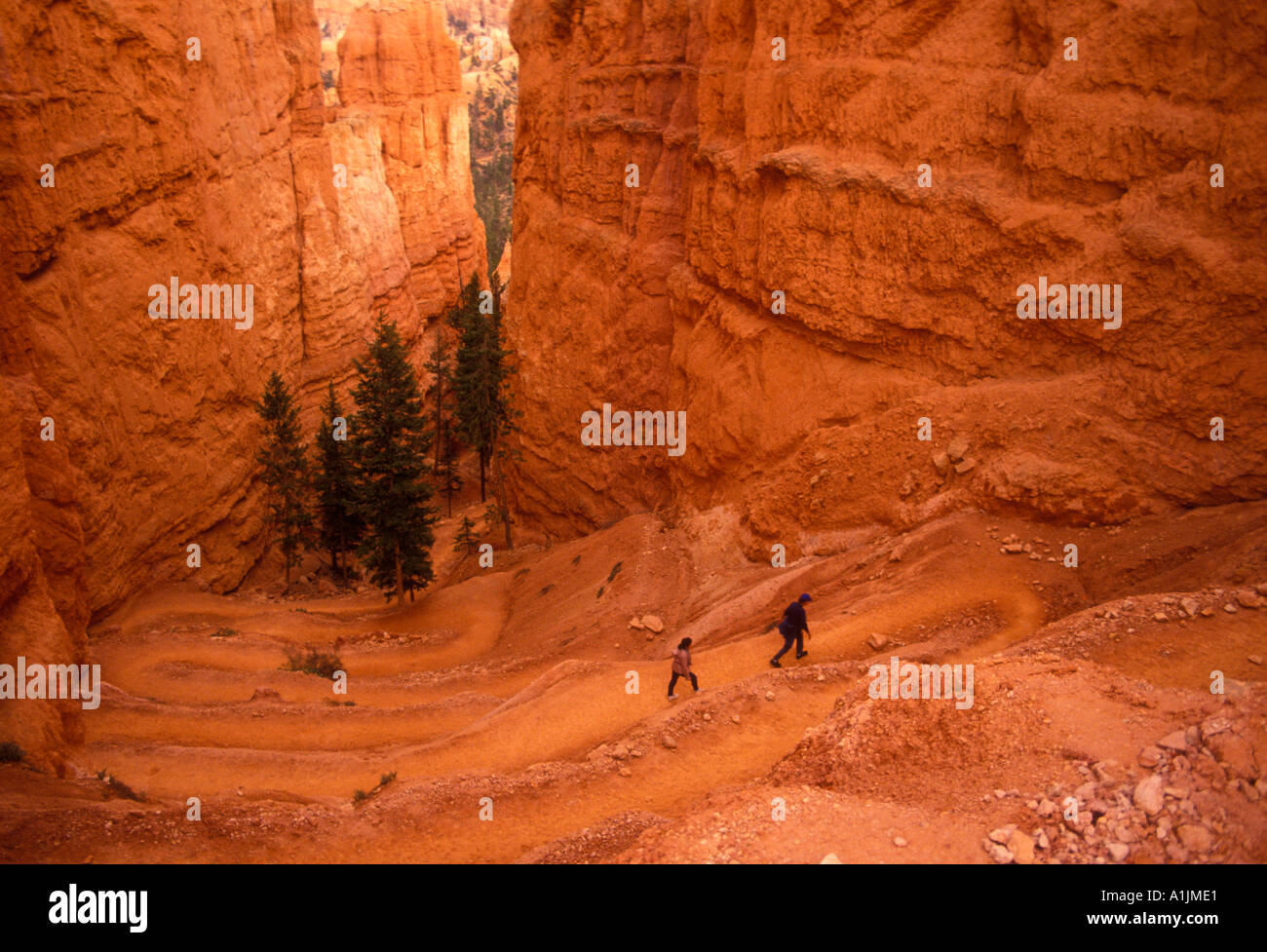 people, hikers, hiking trail, view from Navajo Trail, Navajo Trail ...