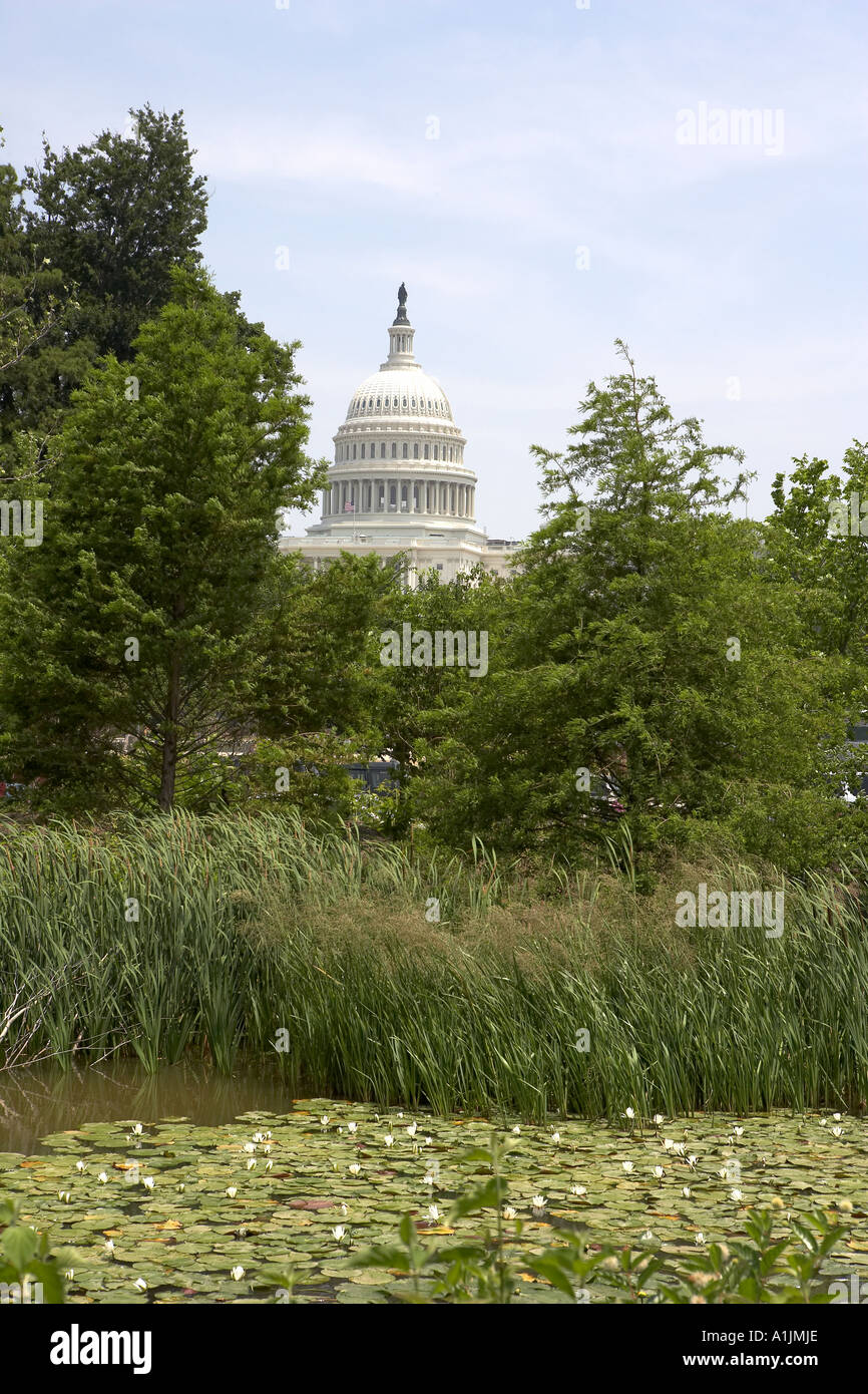 The dome of the U S Capitol in Washington D C Stock Photo - Alamy