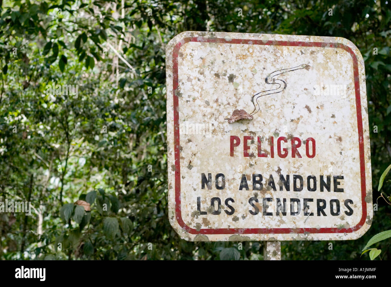 Snakes in the jungle hi-res stock photography and images - Alamy