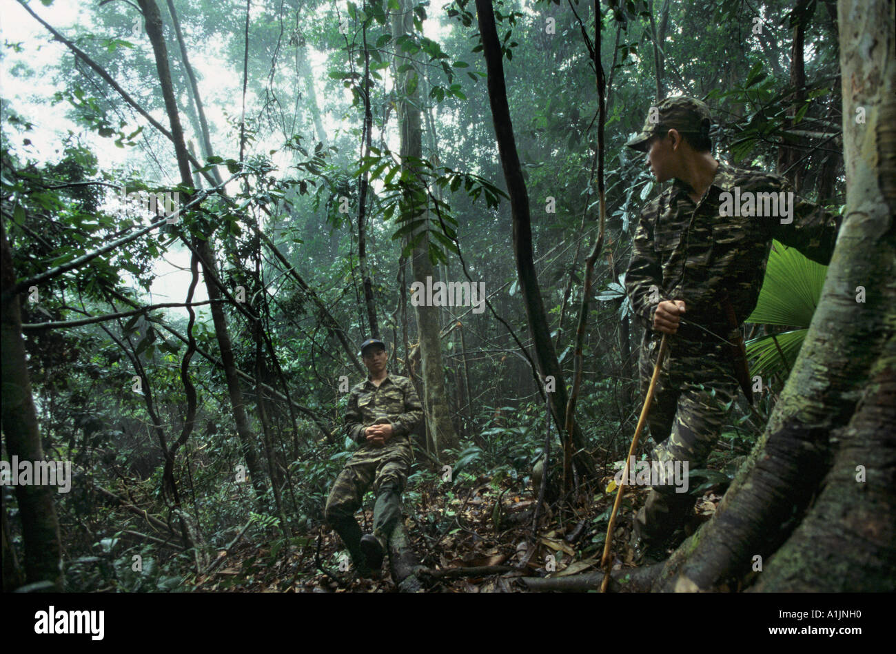 Forest Rangers, Wildlife conservation, Vietnam Stock Photo - Alamy