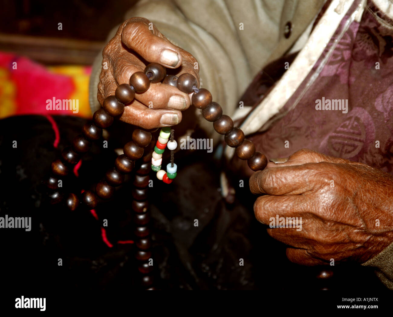 old women during her daily chanting Stock Photo - Alamy