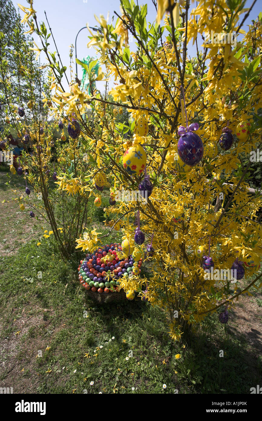 easter tradition in Germany,Osterstrauch Stock Photo - Alamy