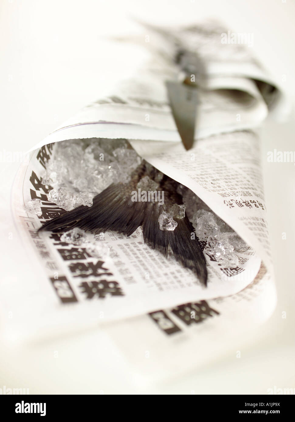 Fish wrapped in newspaper hi-res stock photography and images - Alamy