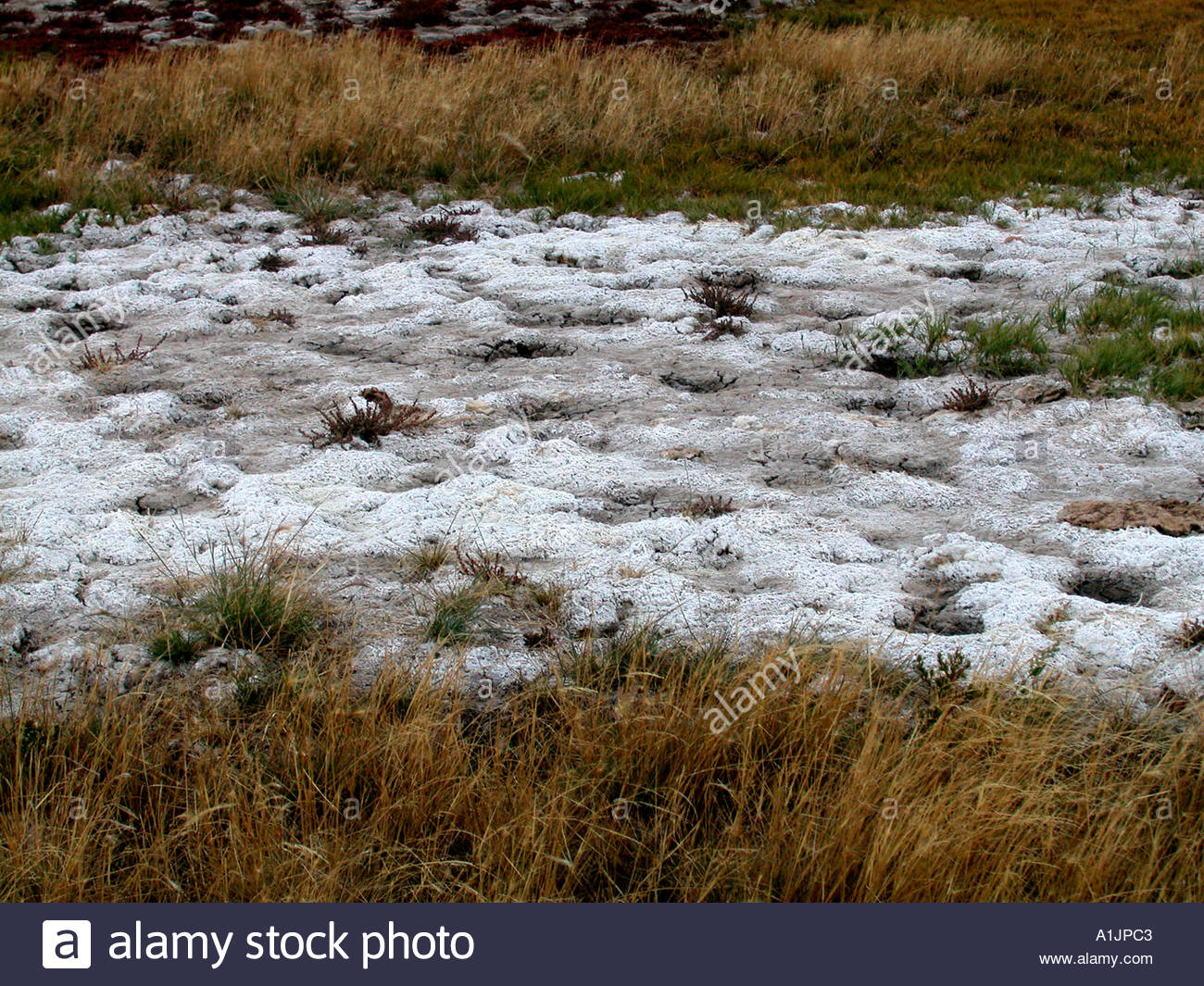 Alkali Metal High Resolution Stock Photography and Images - Alamy