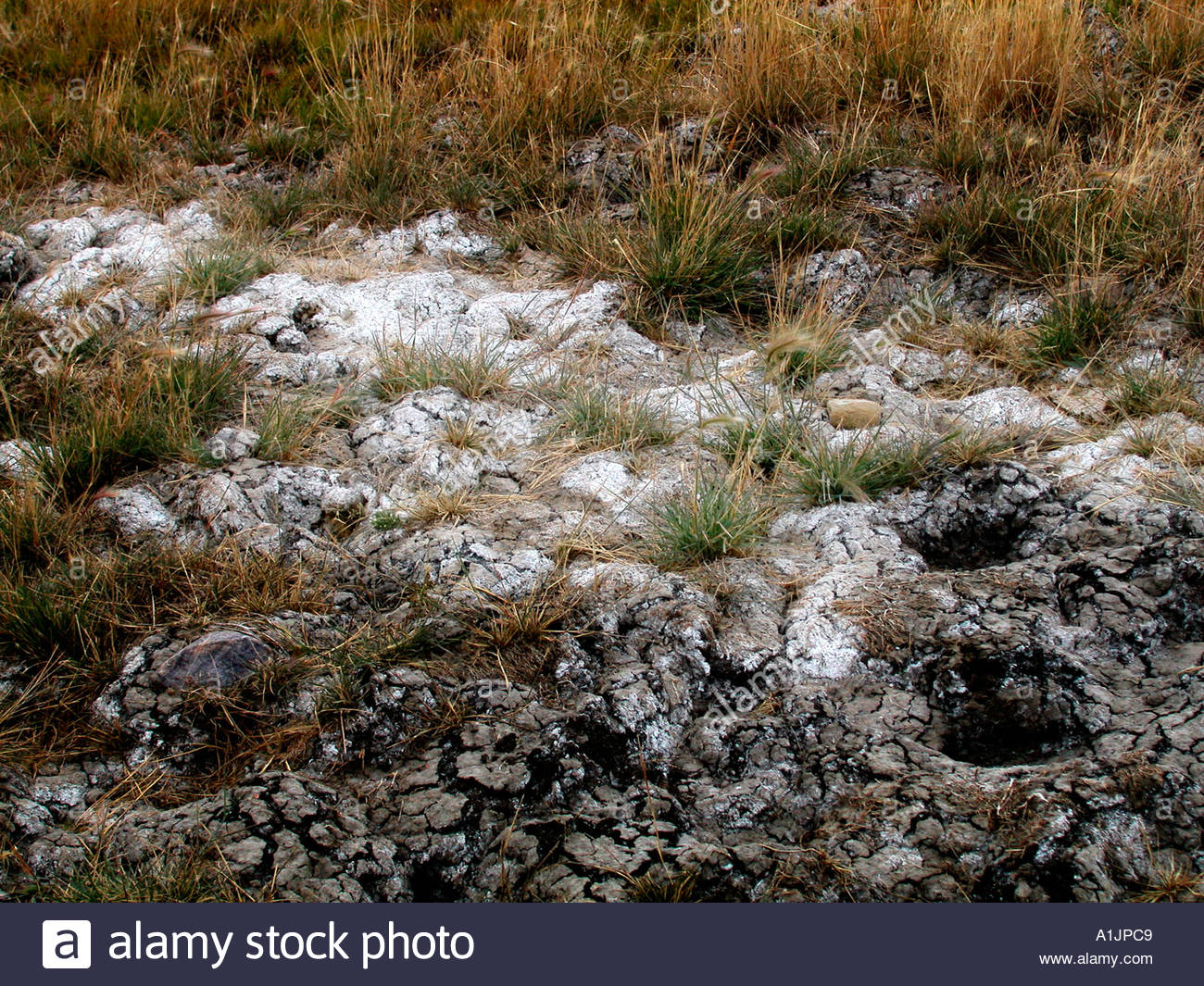 Alkali Metal High Resolution Stock Photography and Images - Alamy