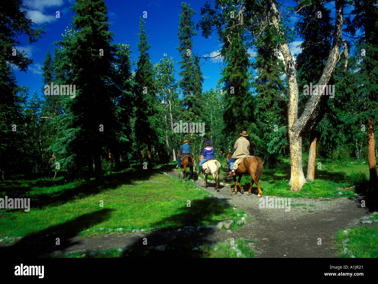 people, tourists, horseback ride, horseback riders, horseback riding ...