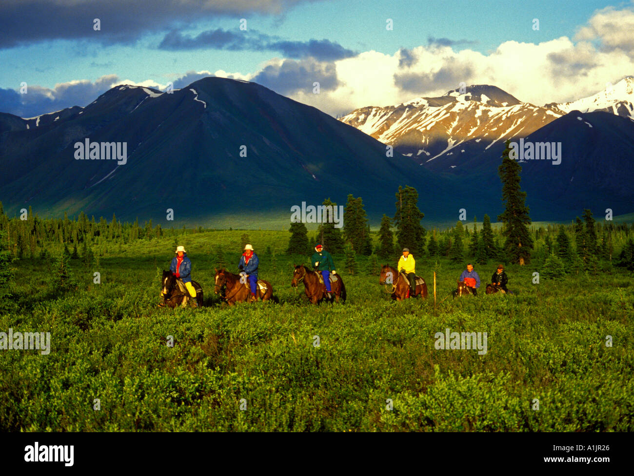 people, tourists, horseback ride, horseback riders, riding horses, Wood ...