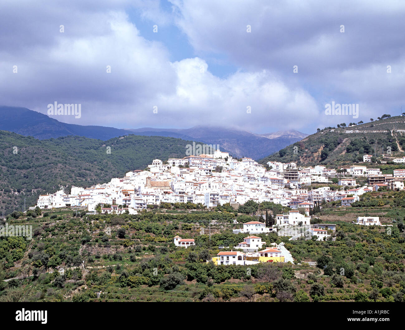 CANILLAS DE ALBAIDA COSTA DEL SOL SPAIN EUROPE April The origins of ...
