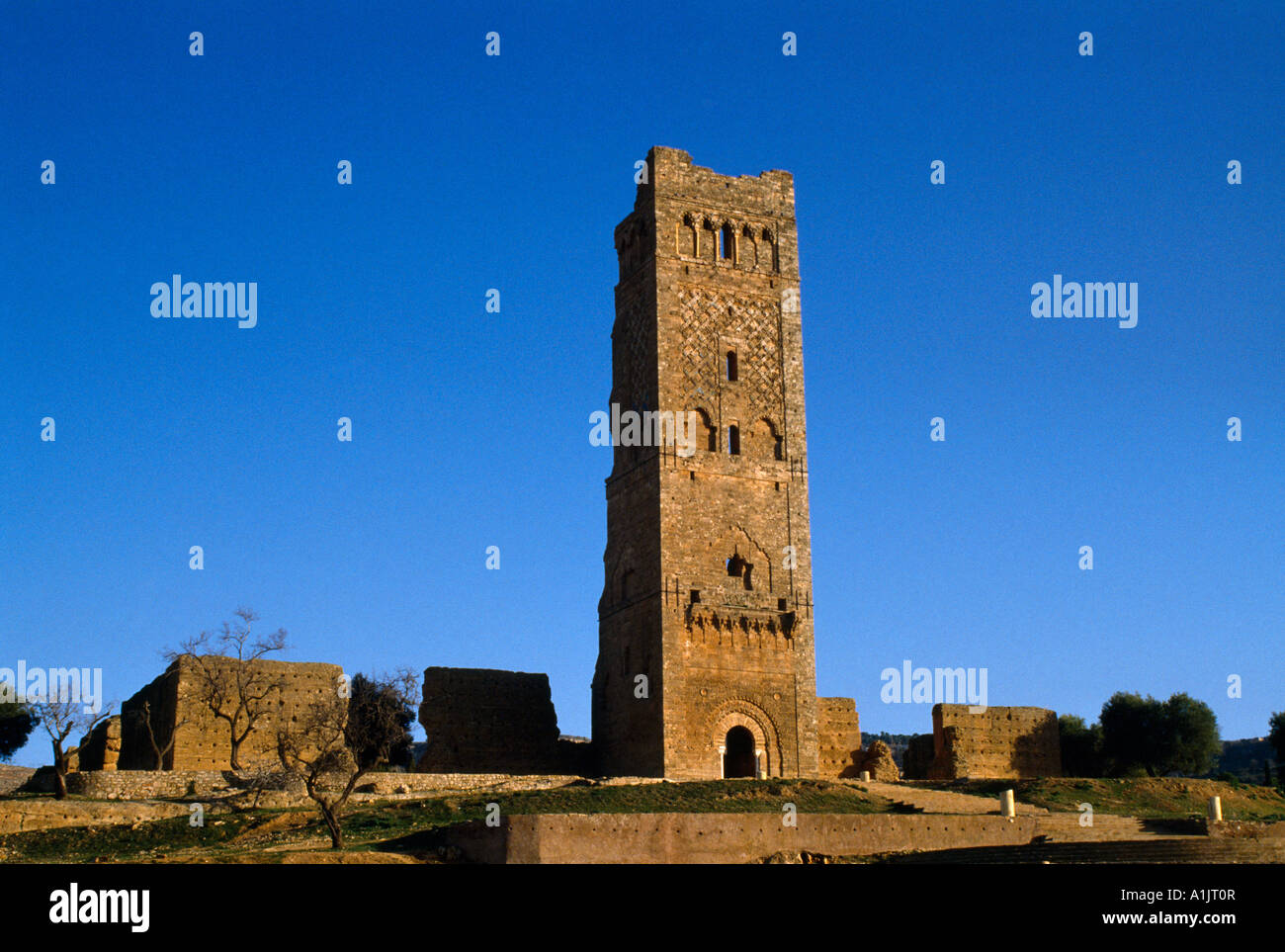 Mansourah Algeria Mansourah Mosque Minaret Stock Photo - Alamy