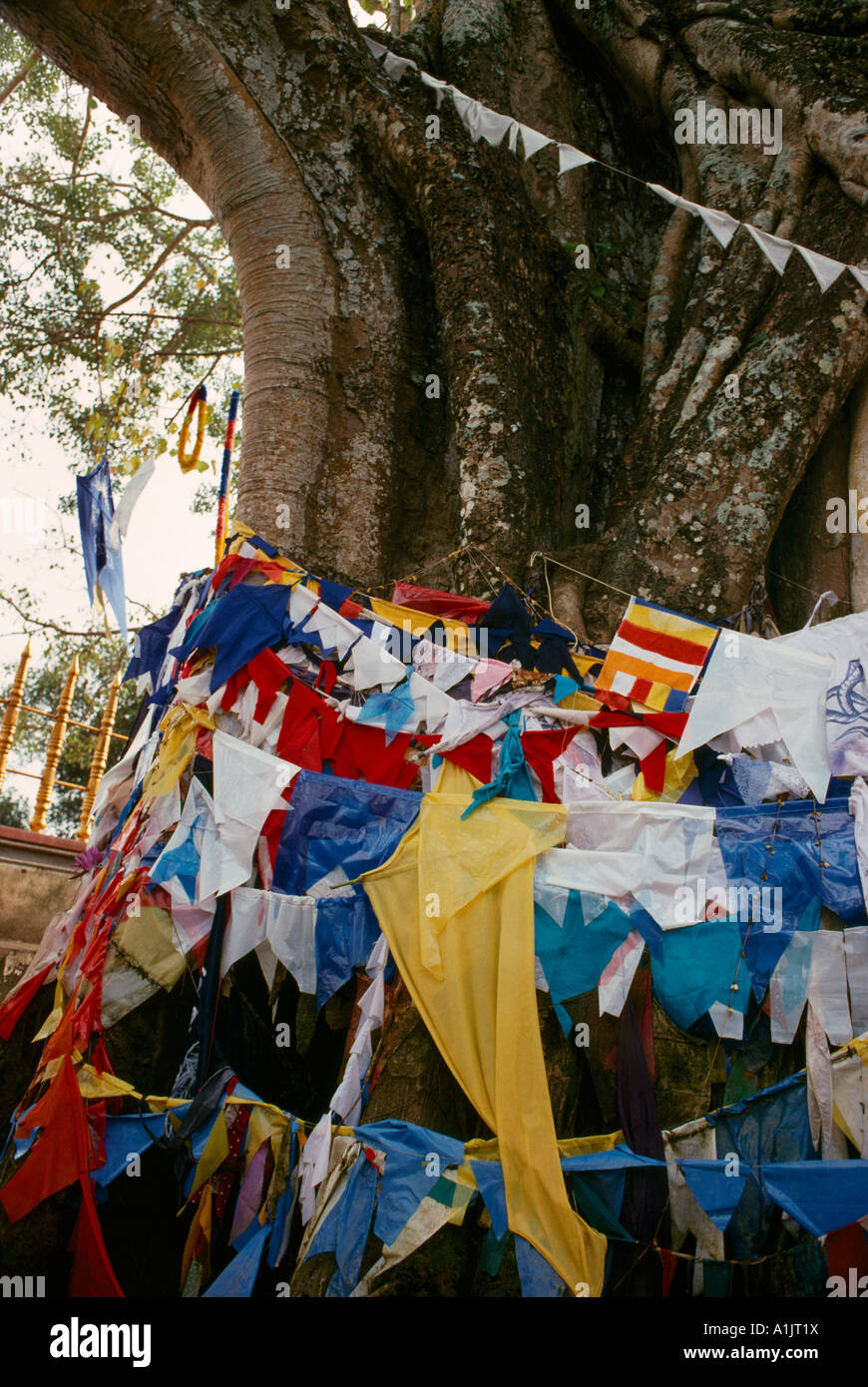 Sri Lanka Bentota Banyan Temple Stock Photo - Alamy