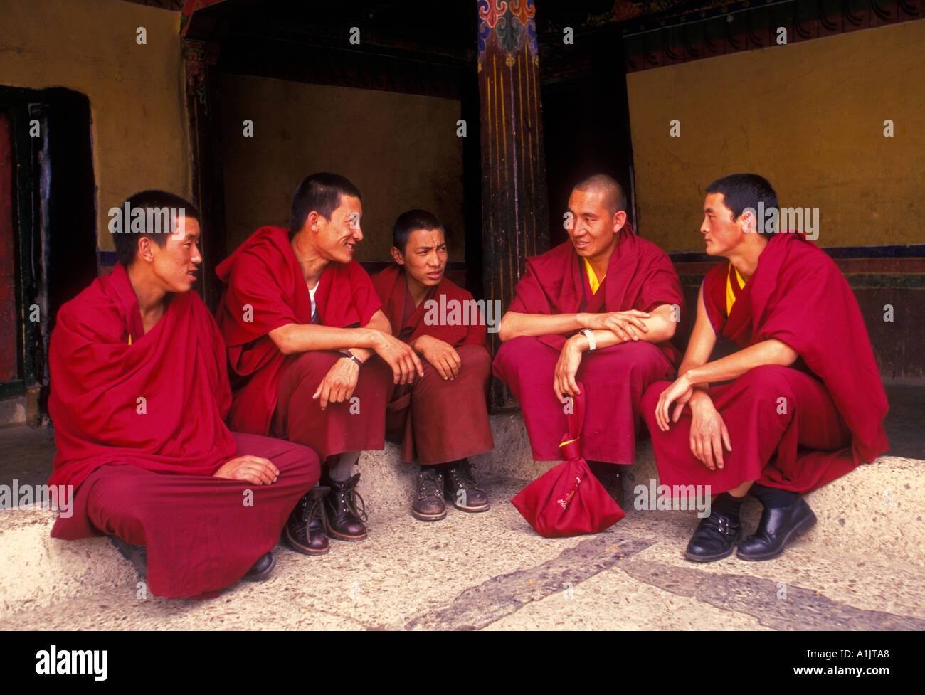 Tibetan monks, Buddhist monks, talking, chatting, getting together ...