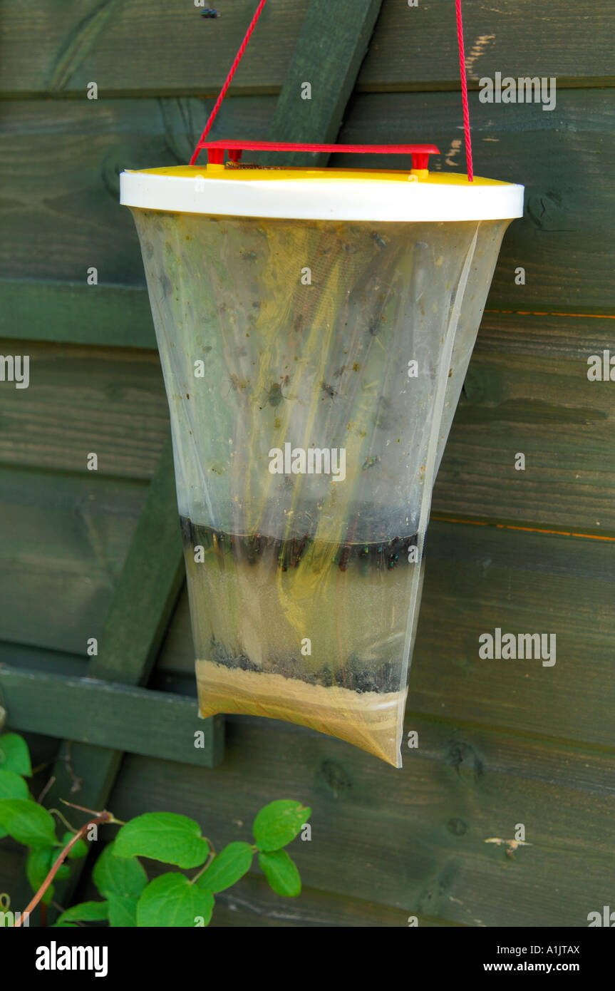 Large Commercial Fly Trap Stock Photo - Alamy