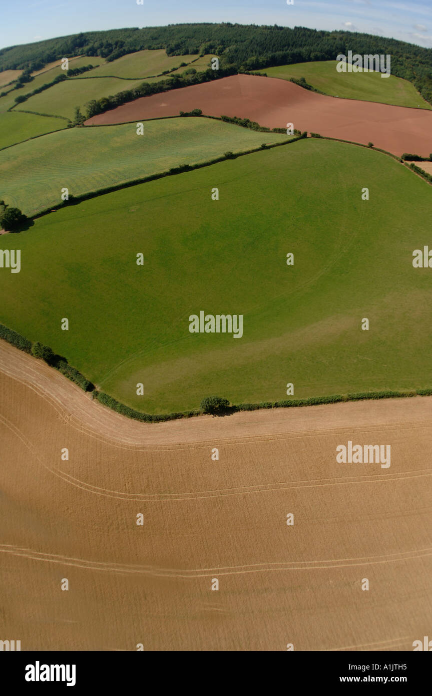 Devon hedges aerial hi-res stock photography and images - Alamy