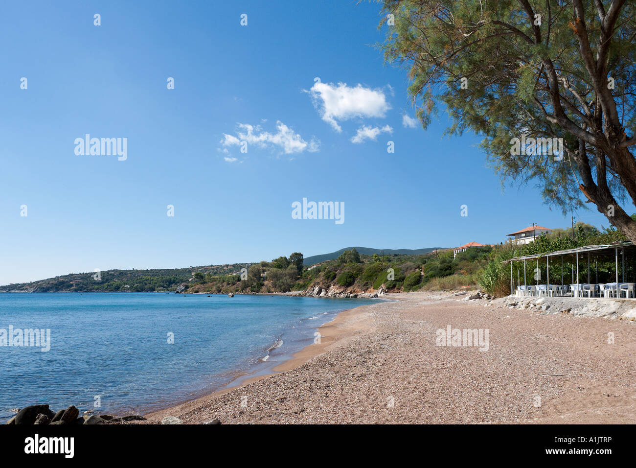 Seafront taverna on the southern end of Zaga Beach, Koroni, Messinia ...