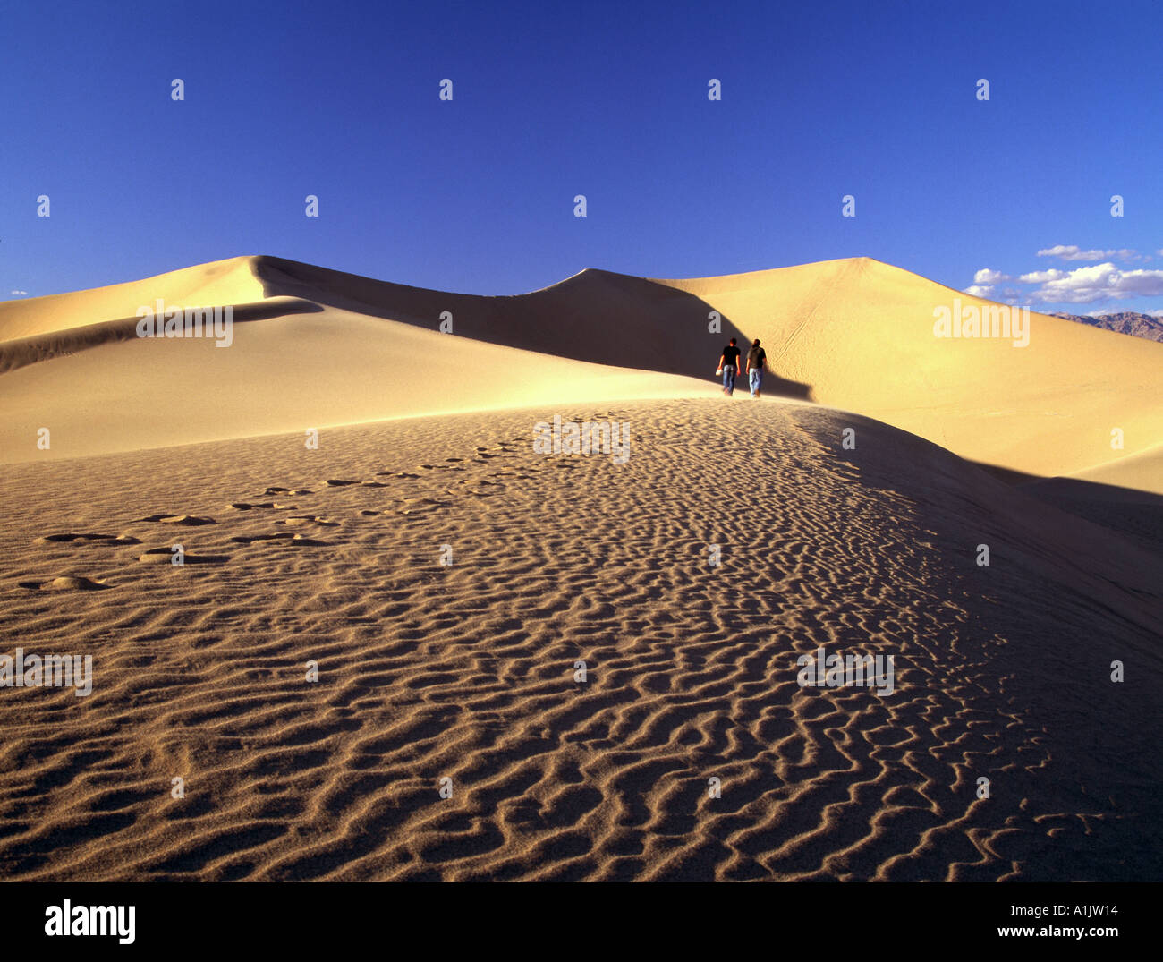 Sand Dunes Stove Pipe Well Death Valley National Park near Stove Pipe ...
