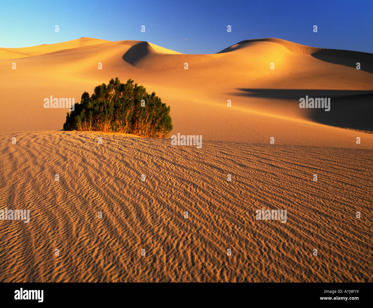 Stove pipe wells hi-res stock photography and images - Alamy