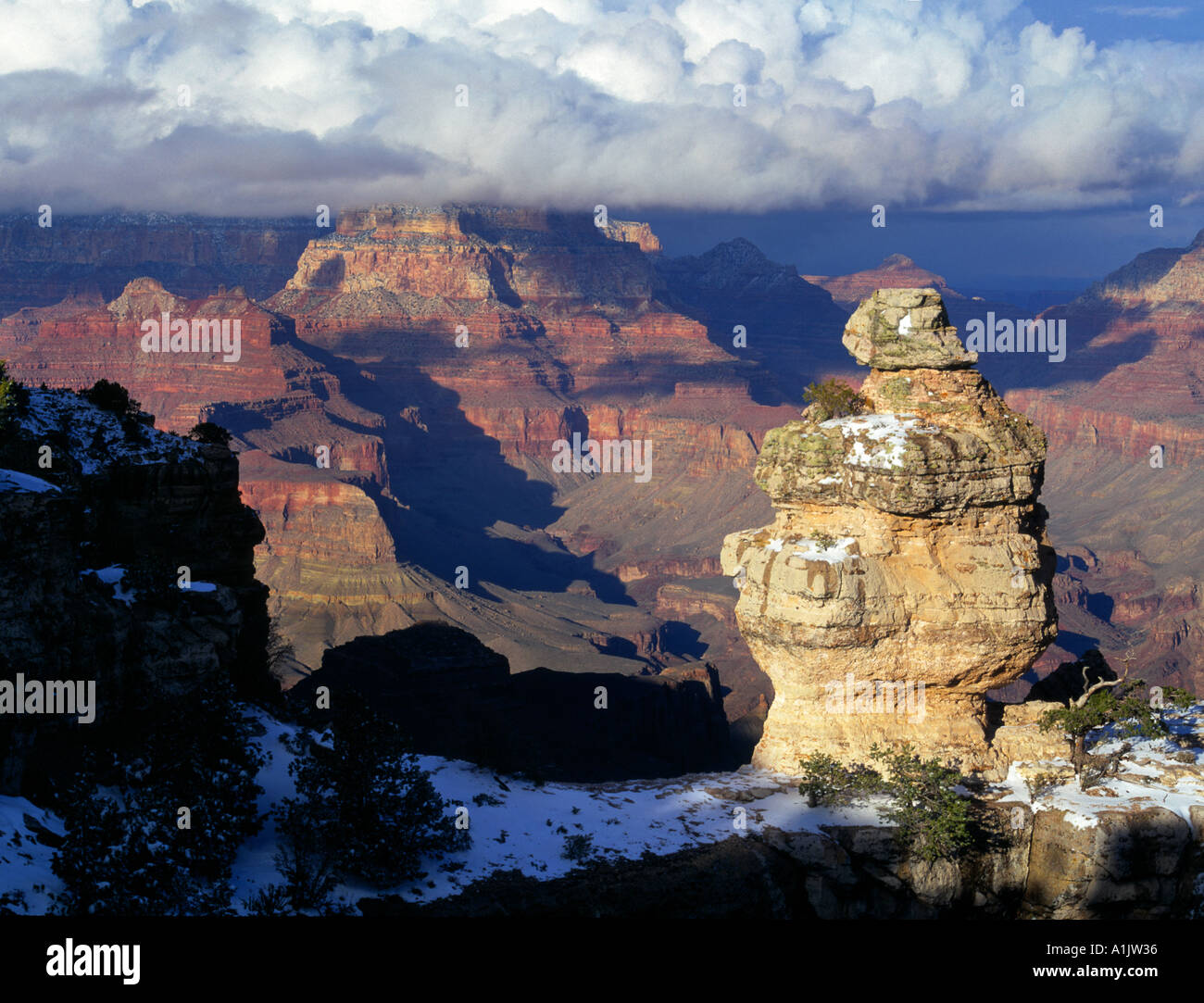 The Grand Canyon National Park from the South Rim Arizona USA Stock ...