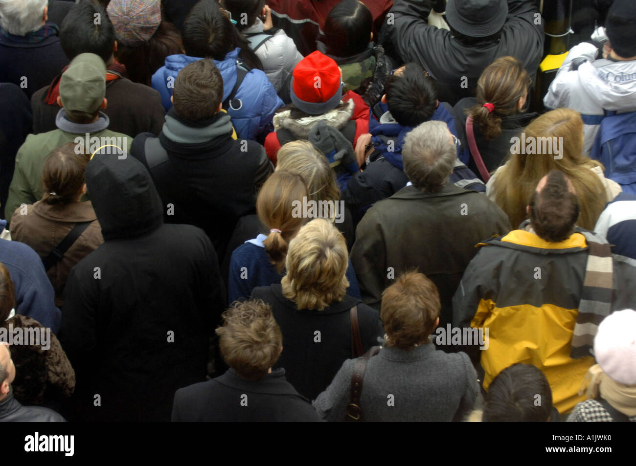 public crowd gathering new years day parade mayors parade mayoral ...