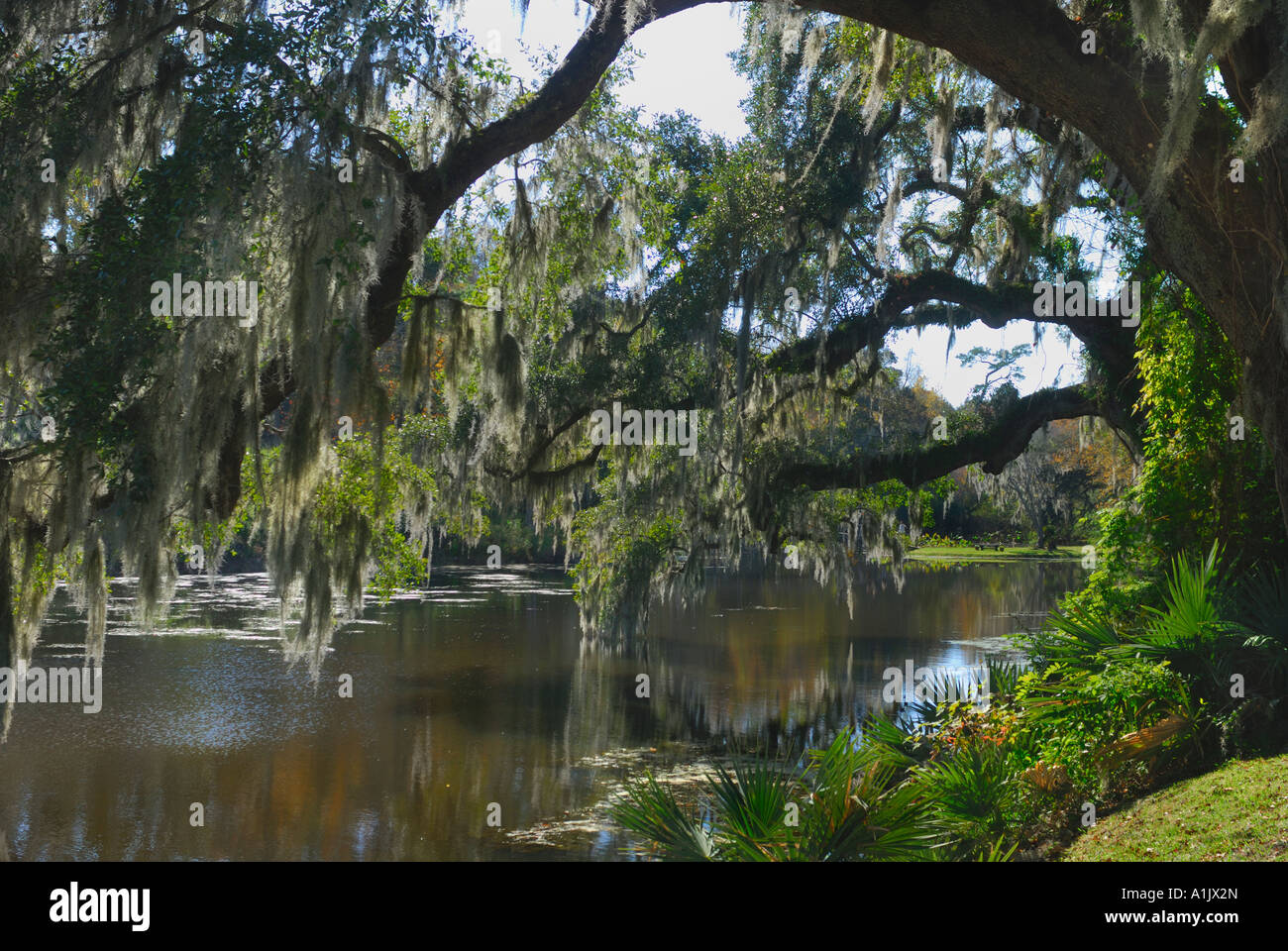 Middleton Plantation High Resolution Stock Photography and Images - Alamy