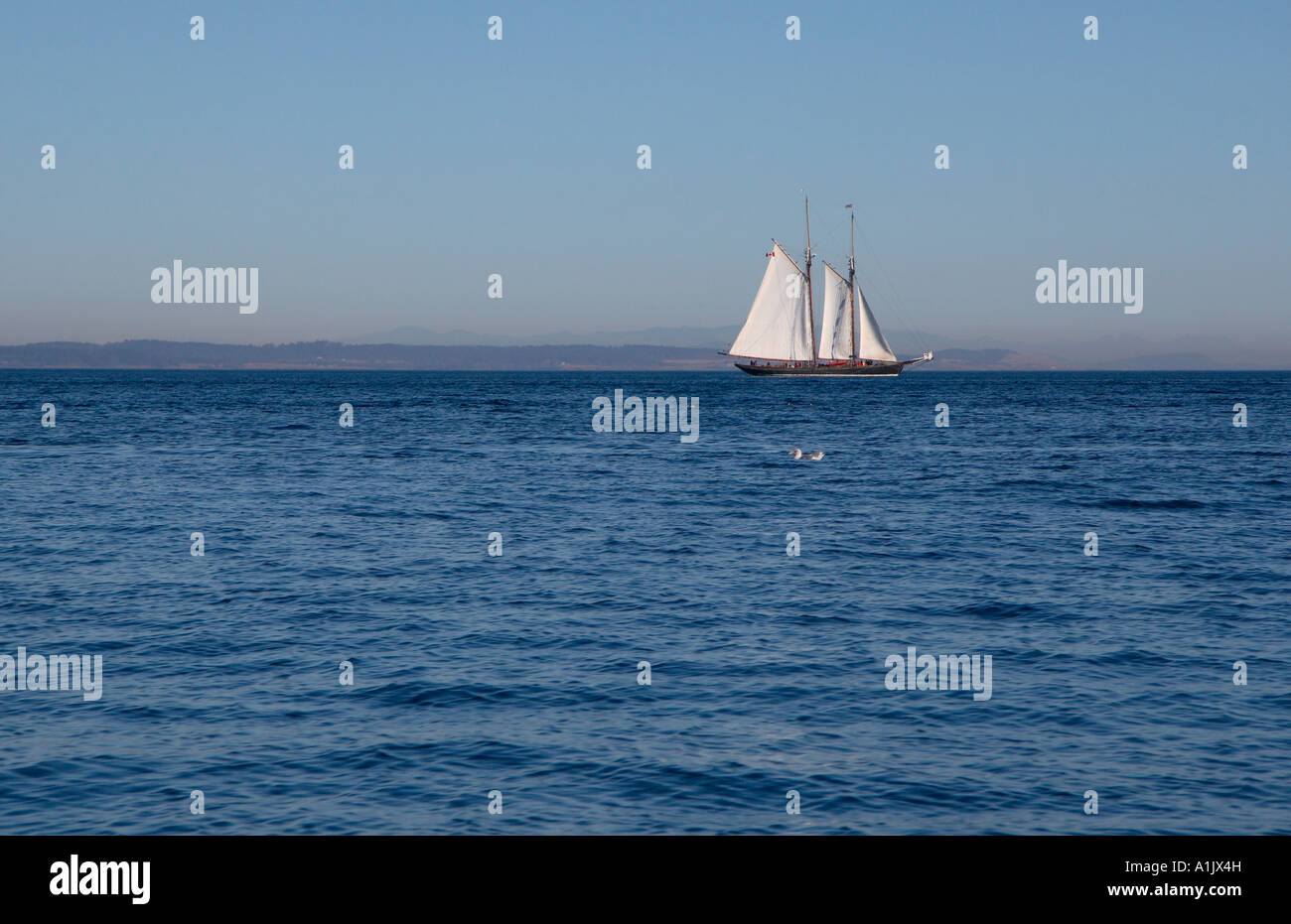 Sailing in "Haro Strait" "Vancouver Island British Columbia Stock Photo ...