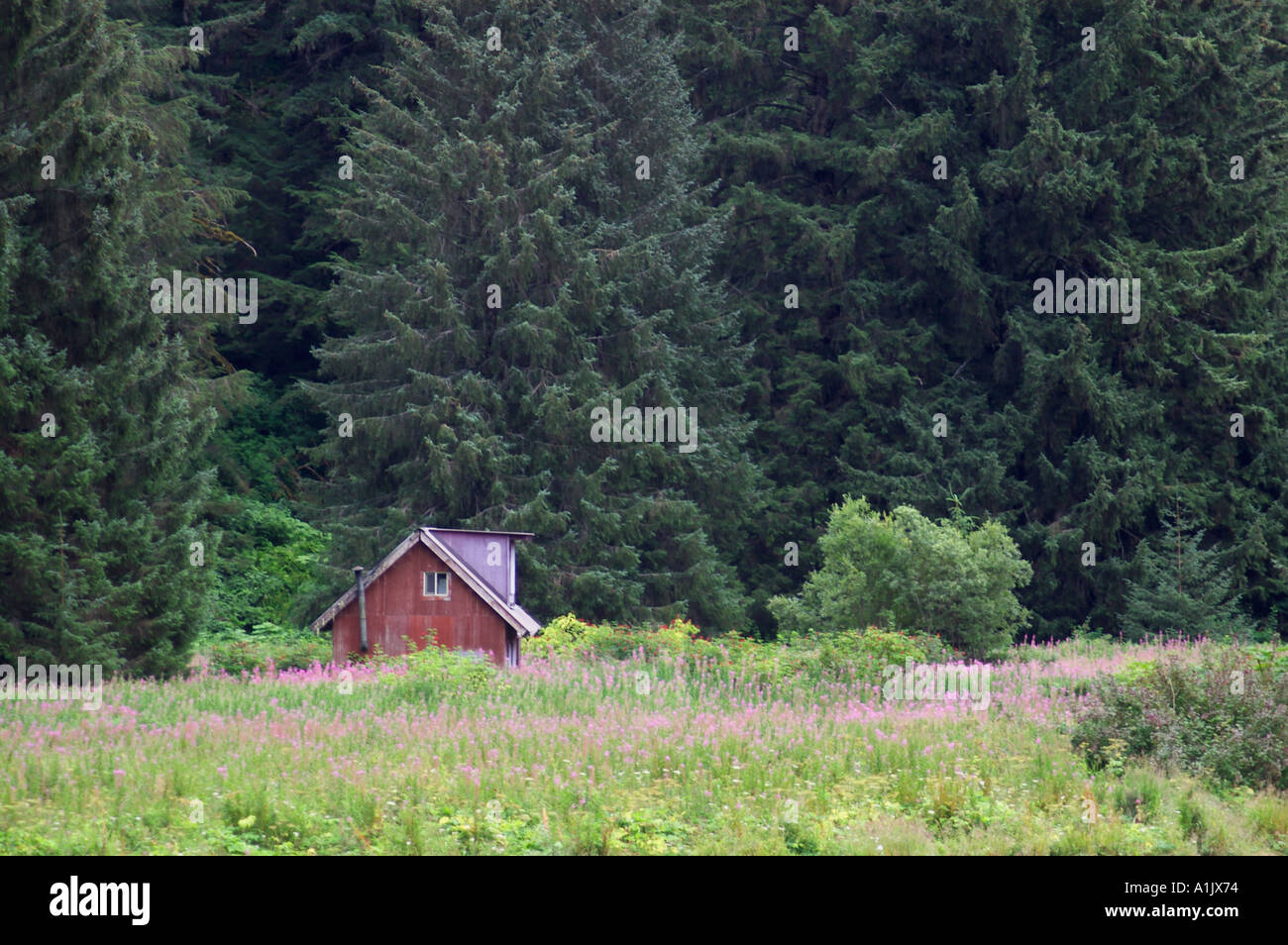 Red cabin alaska hi-res stock photography and images - Alamy