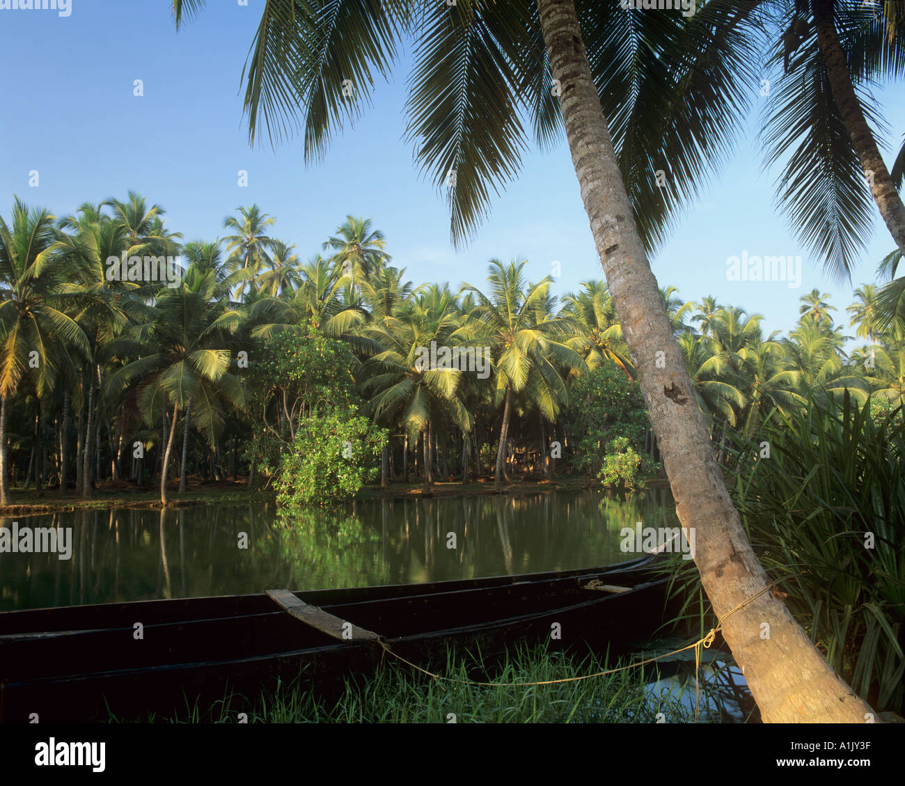 Kerala backwaters India Stock Photo - Alamy
