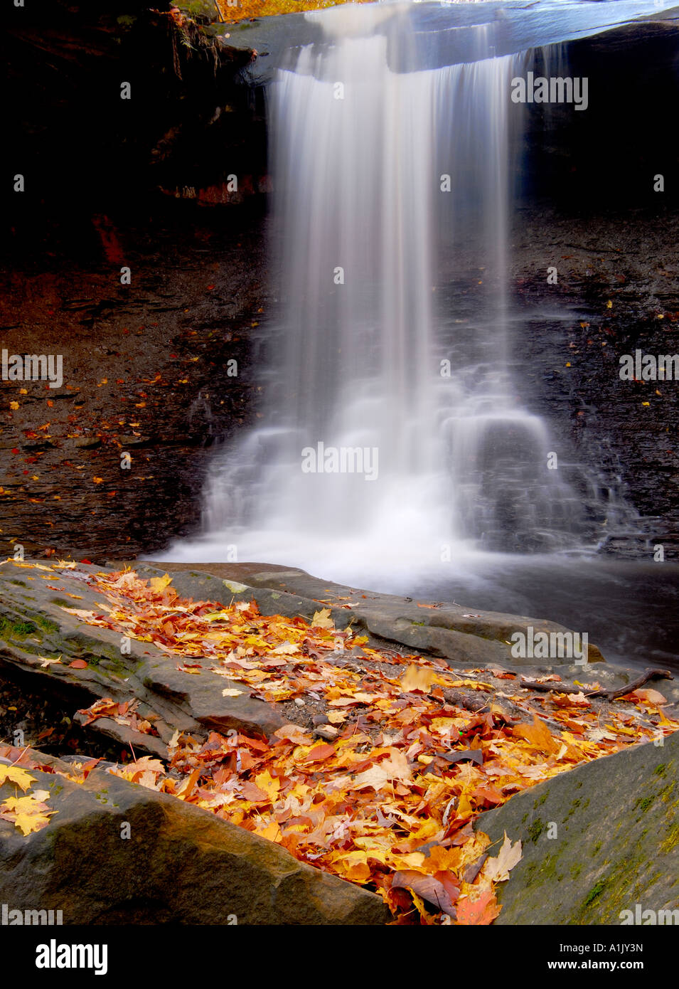Blue Hen Falls Cuyahoga Valley National Park Ohio Stock Photo - Alamy