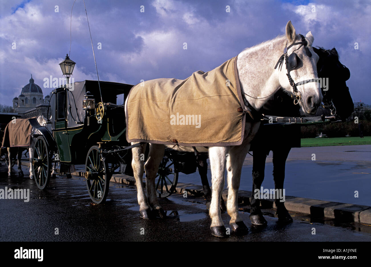 Fiaker hofburg wien österreich fiaker hi-res stock photography and ...