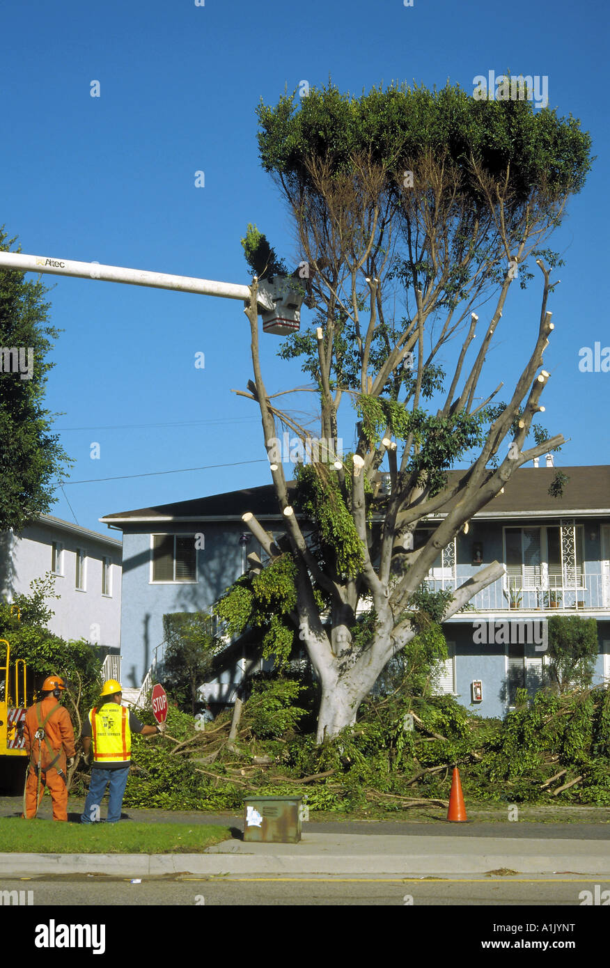 Trimming tree lift arm hi-res stock photography and images - Alamy