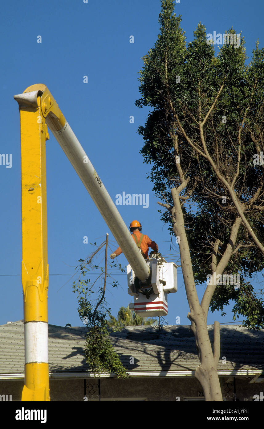 Trimming tree lift arm hi-res stock photography and images - Alamy