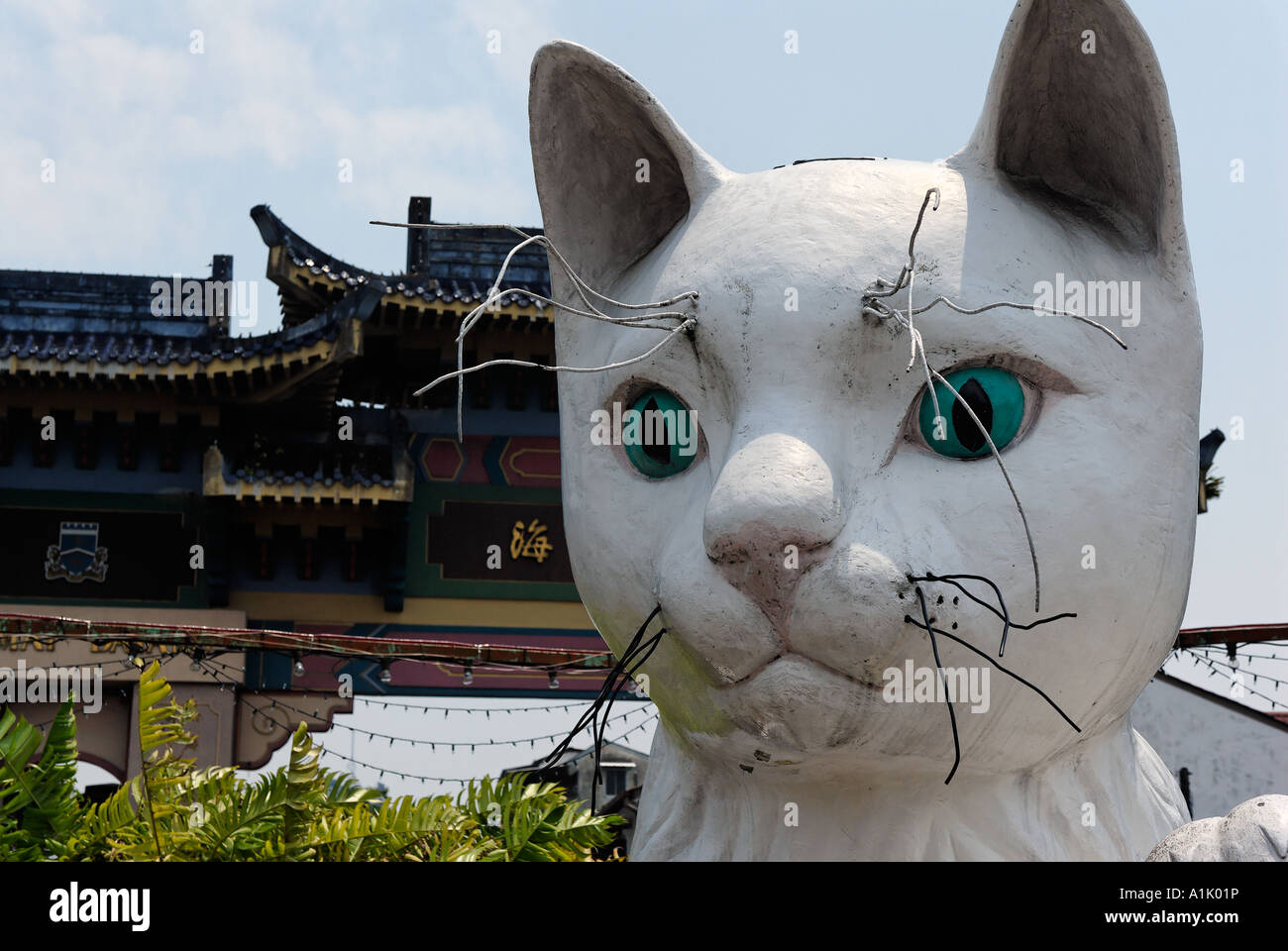 The Kuching cat Stock Photo - Alamy