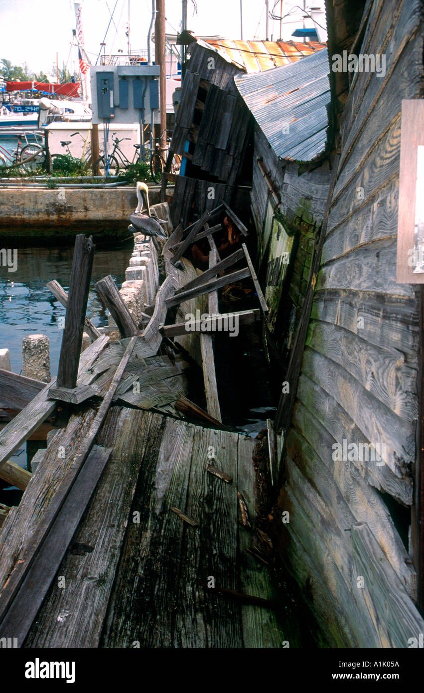 Disused collapsing waterside sheds Key West Florida USA Stock Photo - Alamy