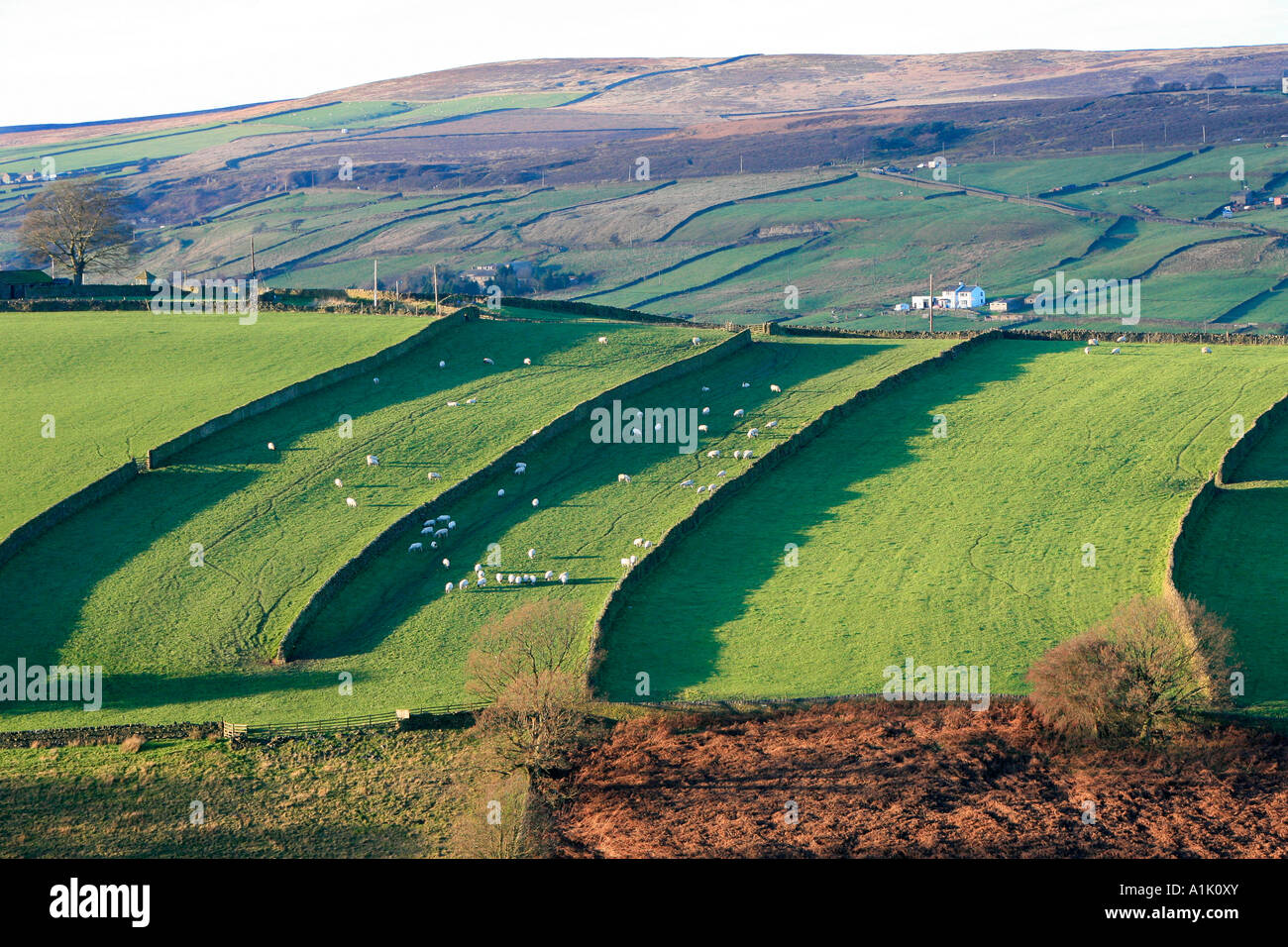 Sunshine and shadows on fields above Haworth Stock Photo - Alamy