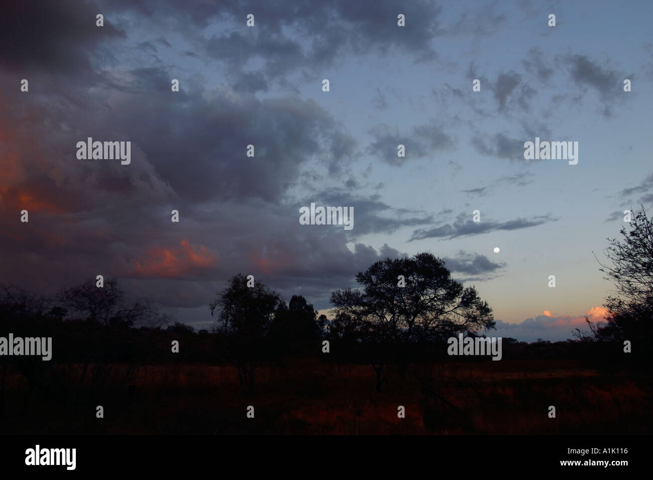Bad moon rising Stock Photo - Alamy