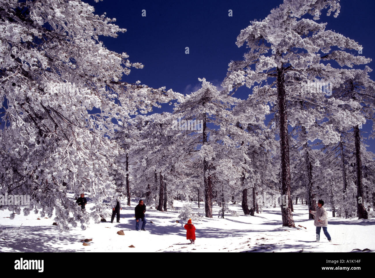 Troodos snow mountains hi-res stock photography and images - Alamy