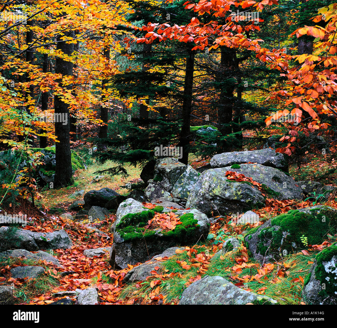 Lanscapes hi-res stock photography and images - Alamy