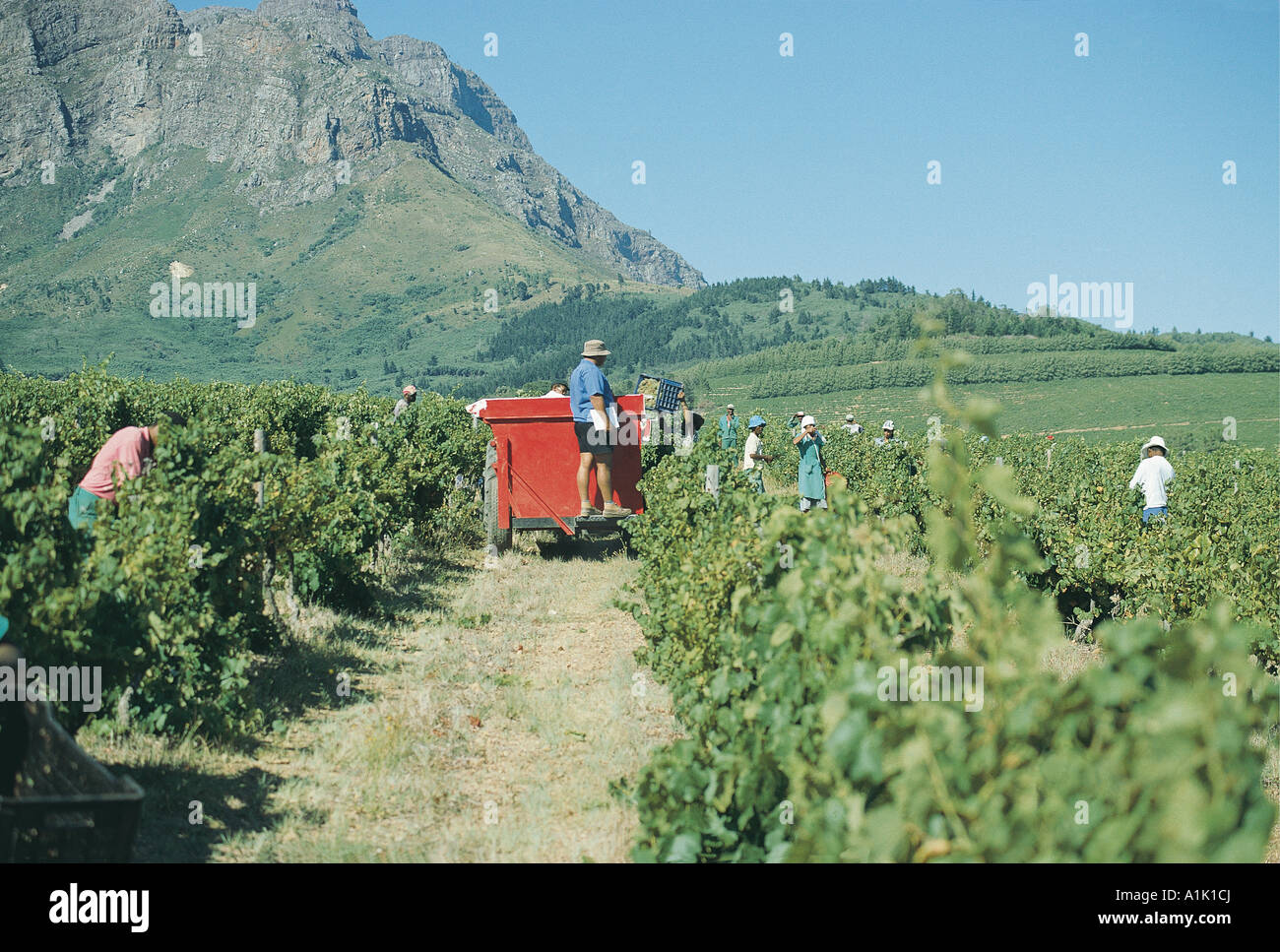 African farm workers hi-res stock photography and images - Alamy
