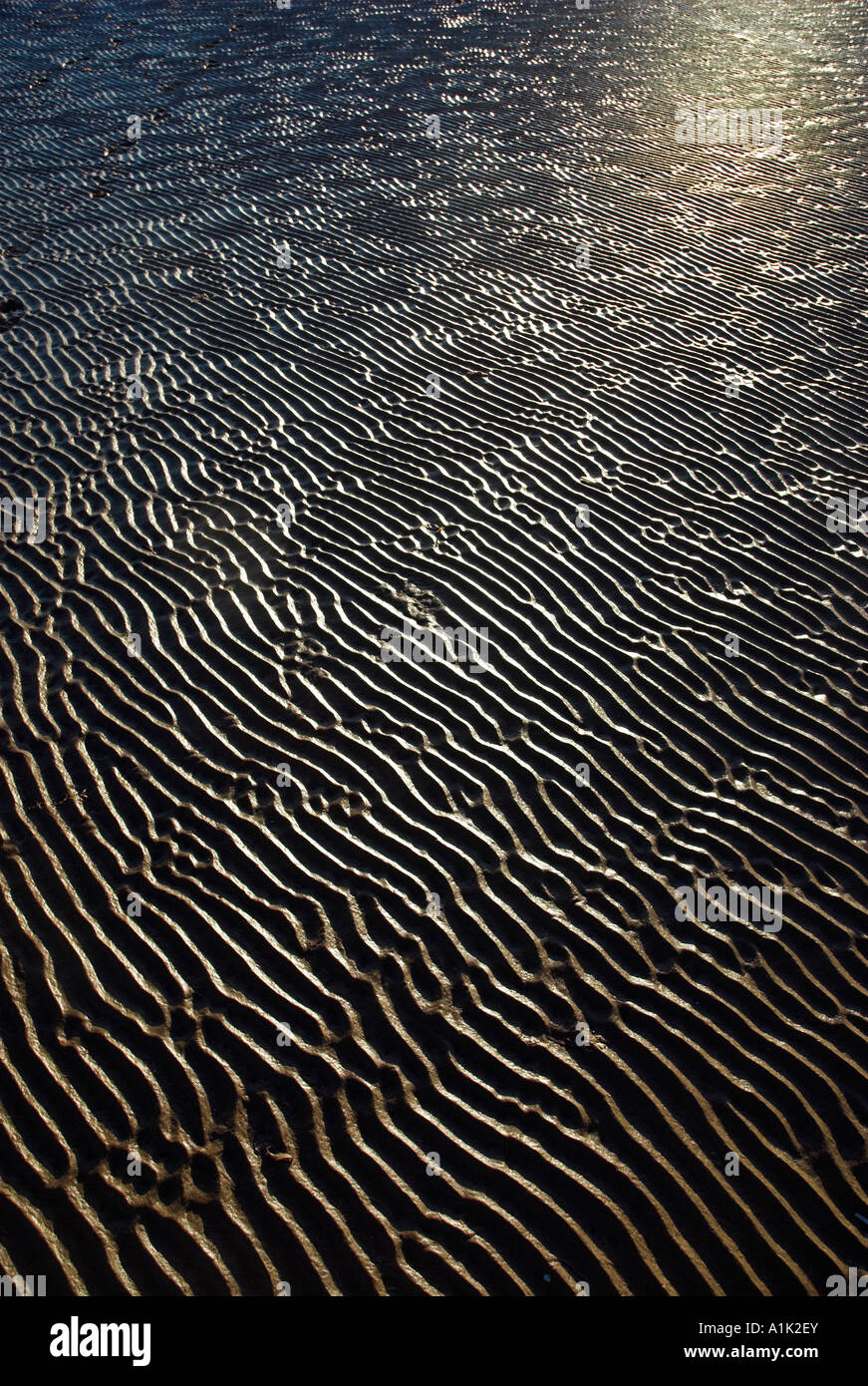 sand ripples.beach. tides. estuary Stock Photo - Alamy