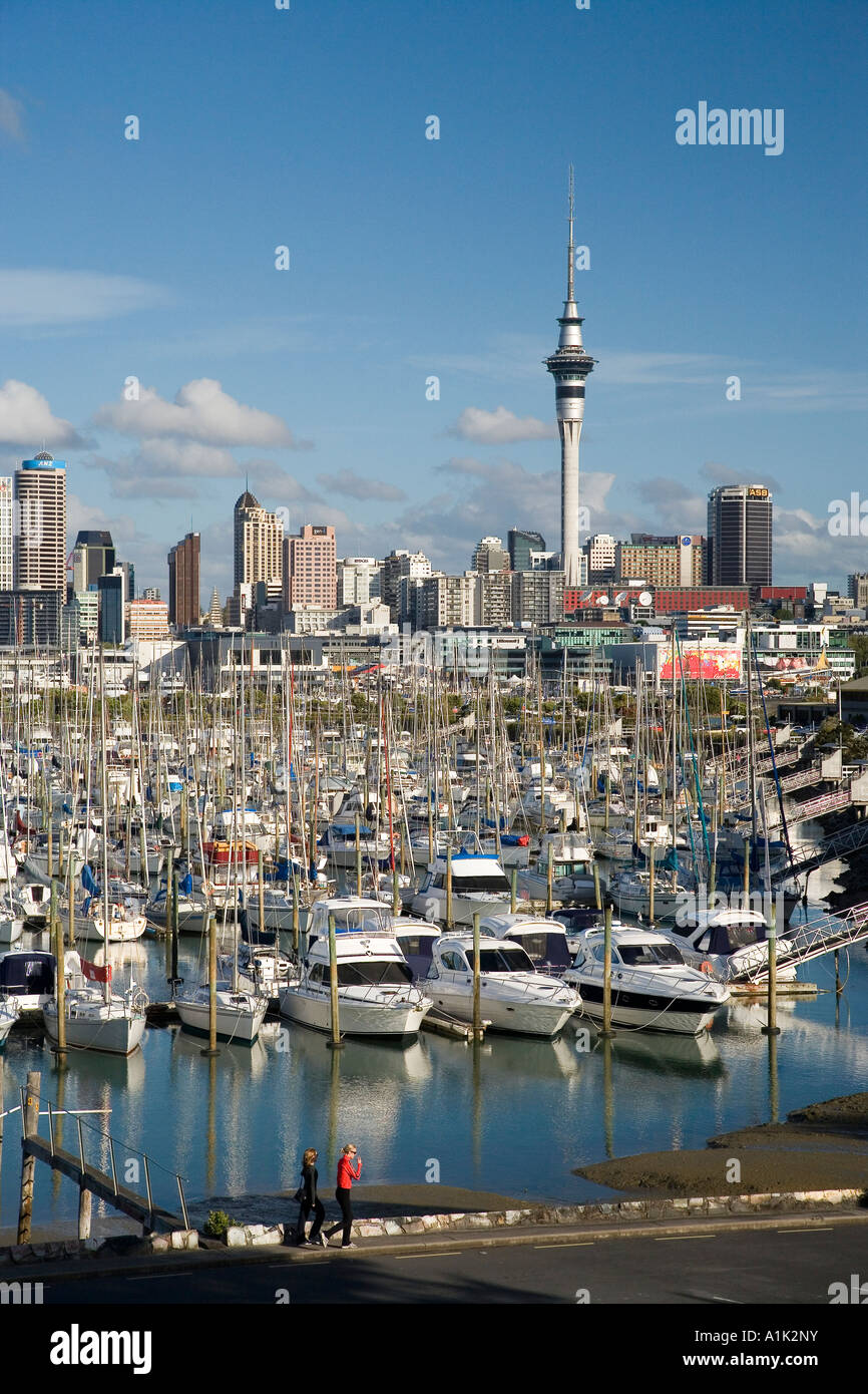 Westhaven Marina Auckland North Island New Zealand Stock Photo - Alamy